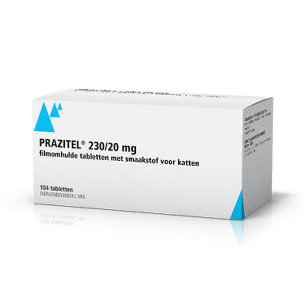 Ontwormen kat | Wormenkuur voor kittens