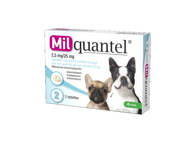 Ontwormen hond, Wormenkuur voor pups