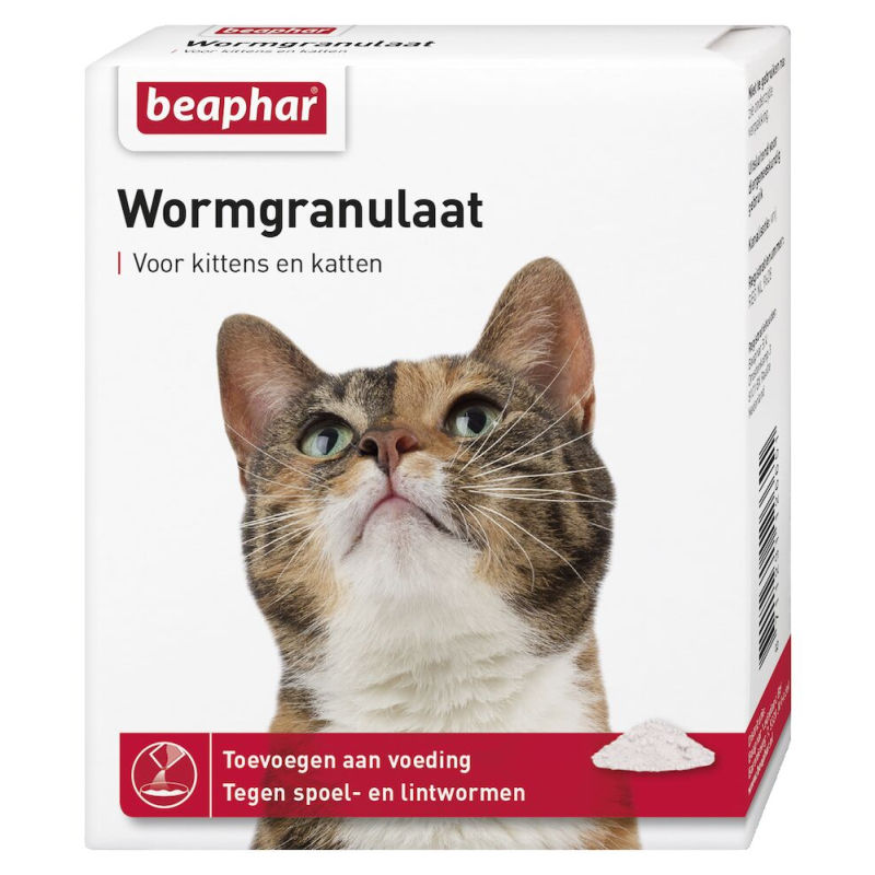 Ontwormen kat | Wormenkuur voor kittens