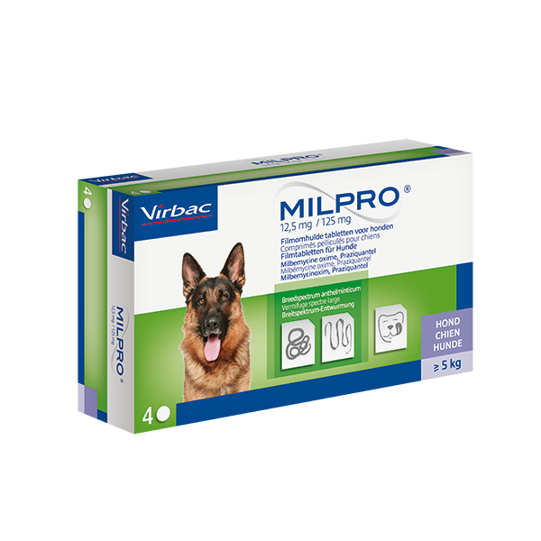 Ontwormen hond, Wormenkuur voor pups